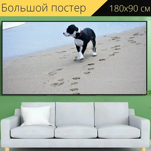 Большой постер "Собака, щенок, пляж" 180 x 90 см. для интерьера