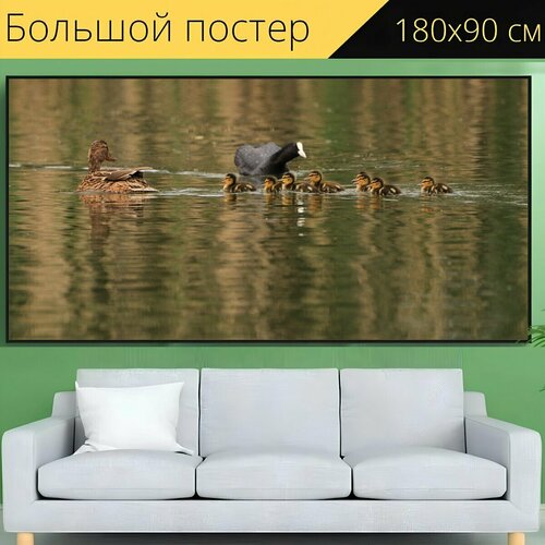 Большой постер "Озеро, водоплавающая птица, природа" 180 x 90 см. для интерьера