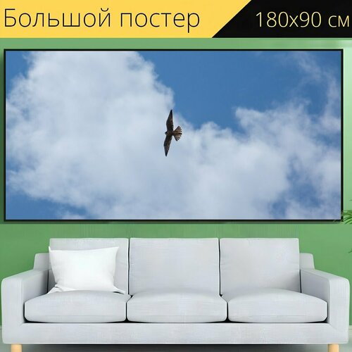 Большой постер "Скопа, орел, небо" 180 x 90 см. для интерьера
