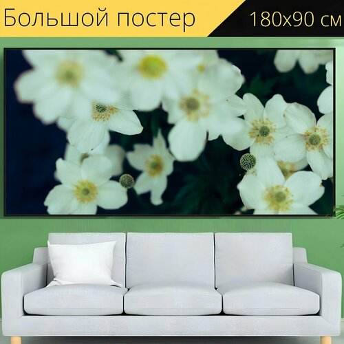 Большой постер "Цветок, белый, сад" 180 x 90 см. для интерьера