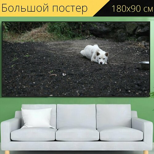 Большой постер "Щенок, собака, домашняя собака" 180 x 90 см. для интерьера