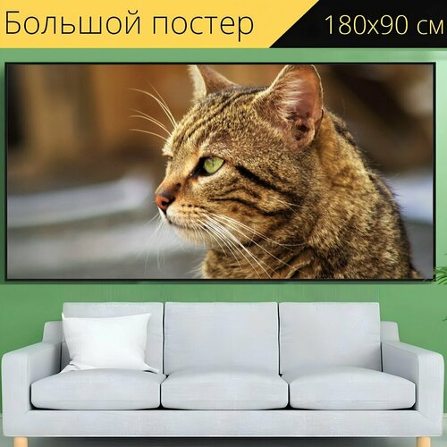 Большой постер "Кошка, кот, тигровая кошка" 180 x 90 см. для интерьера