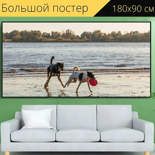 Большой постер "Собака, пляж, эльба" 180 x 90 см. для интерьера