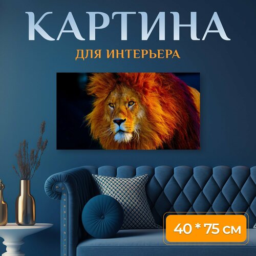 Картина на холсте "Лев, кошачий, грива" на подрамнике 75х40 см. для интерьера