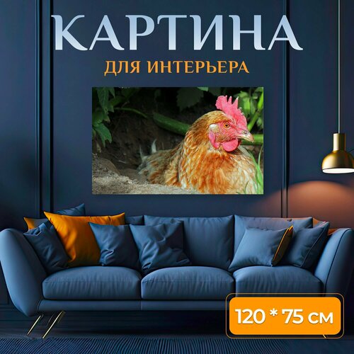 Картина на холсте "Курица, домашняя птица, животное" на подрамнике 120х75 см. для интерьера