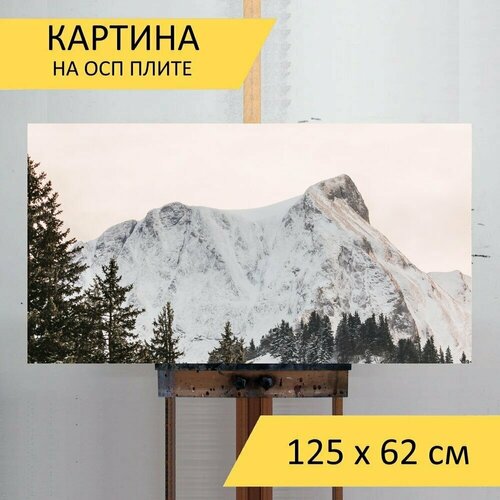 Картина на ОСП 125х62 см. "Гора, холодный, снег" горизонтальная, для интерьера, с креплениями