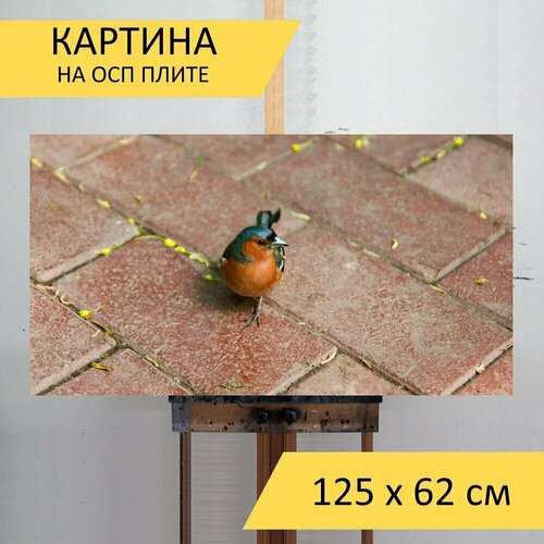 Картина на ОСП 125х62 см. "Птичка, оранжевый, живот" горизонтальная, для интерьера, с креплениями