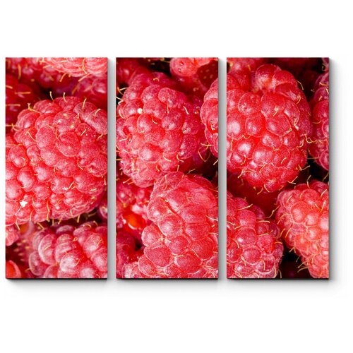 Модульная картина Крупные ягоды малины 110x79