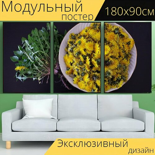 Модульный постер "Одуванчик, здоровье, салат" 180 x 90 см. для интерьера