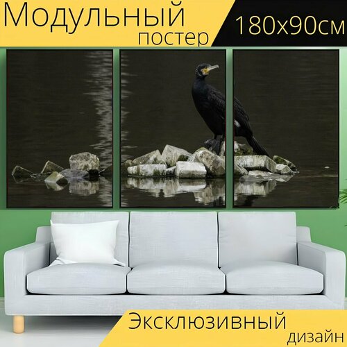 Модульный постер "Баклан, птица, озеро" 180 x 90 см. для интерьера