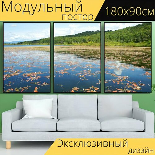Модульный постер "Озеро, осень, водоросли" 180 x 90 см. для интерьера