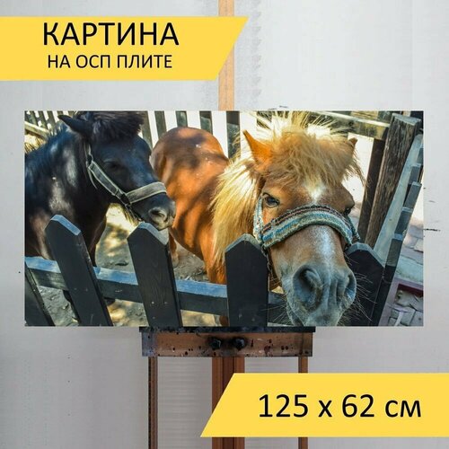 Картина на ОСП 125х62 см. "Лошадь, пони, животное" горизонтальная, для интерьера, с креплениями