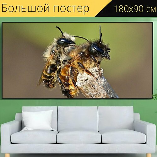 Большой постер "Природа, весна, дикие пчелы" 180 x 90 см. для интерьера