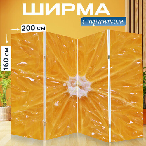 Ширма перегородка с принтом "Апельсин, оранжевый, цитрусовый фрукт" на холсте - 200x160 см. для зонирования, раскладная