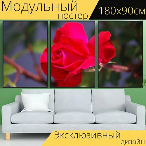 Модульный постер "Роза, лепестки, цветок" 180 x 90 см. для интерьера