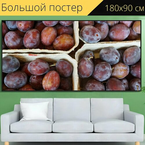 Большой постер "Сливы, здоровый, вкусный" 180 x 90 см. для интерьера