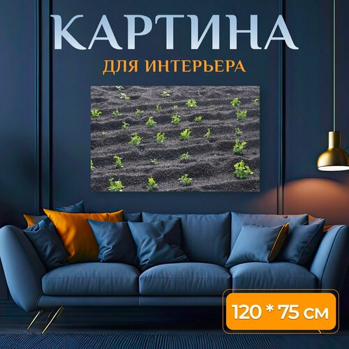 Картина на холсте "Сельское хозяйство, земледелие, растения" на подрамнике 120х75 см. для интерьера