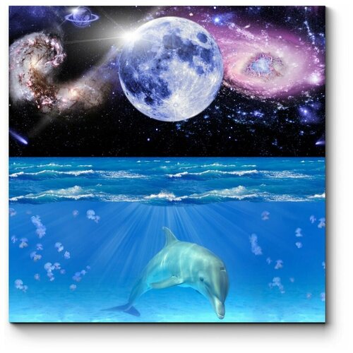 Модульная картина Сладкий сон дельфина40x40
