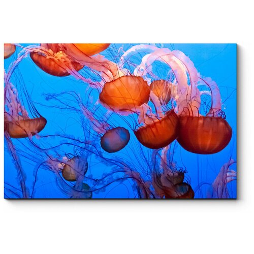 Модульная картина Чарующие океанские медузы 120x80