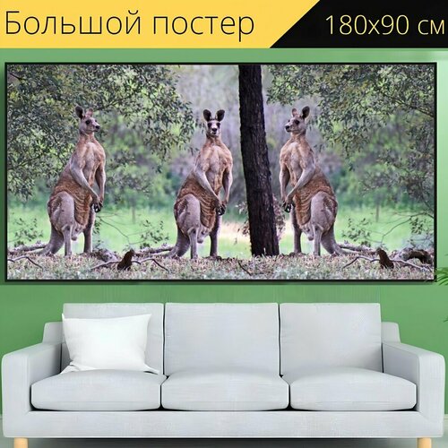 Большой постер "Животные, кенгуру, мужчина" 180 x 90 см. для интерьера
