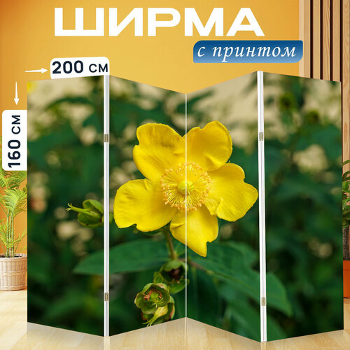 Ширма перегородка с принтом "Желтый, цветок, сад" на холсте - 200x160 см. для зонирования, раскладная