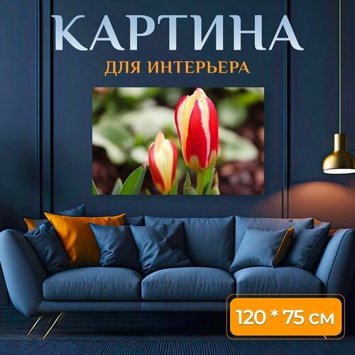 Картина на холсте "Тюльпан, цветок, завод" на подрамнике 120х75 см. для интерьера