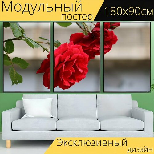 Модульный постер "Роза, цветок, красивая" 180 x 90 см. для интерьера
