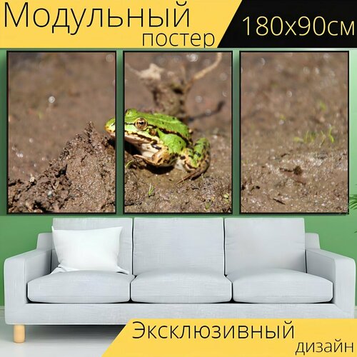 Модульный постер "Лягушка, зеленый, животное" 180 x 90 см. для интерьера