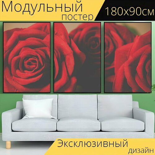 Модульный постер "Розы, лепесток, любовь" 180 x 90 см. для интерьера
