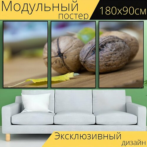 Модульный постер "Грецкие орехи, орехи, сухофрукт" 180 x 90 см. для интерьера