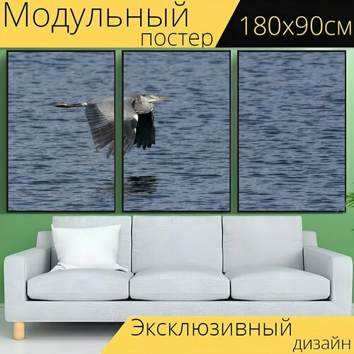Модульный постер "Серый, цапля, птица" 180 x 90 см. для интерьера