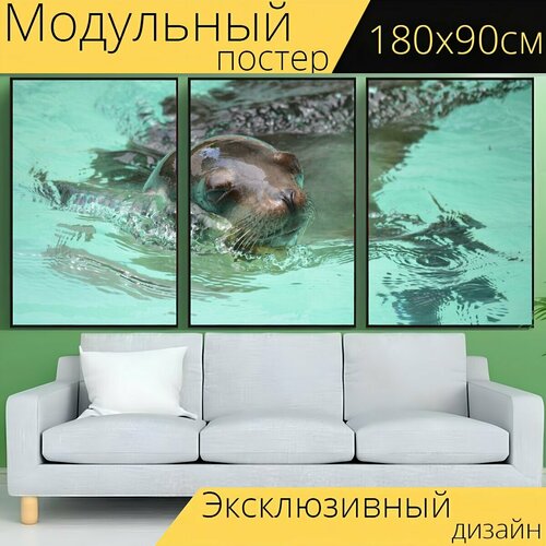 Модульный постер "Воды, плавать, природа" 180 x 90 см. для интерьера