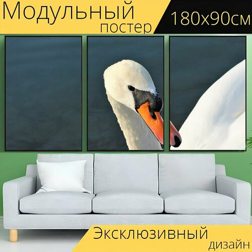 Модульный постер "Белый лебедь, вода, зима" 180 x 90 см. для интерьера
