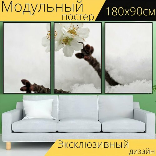 Модульный постер "Вишня, цвести, зима" 180 x 90 см. для интерьера