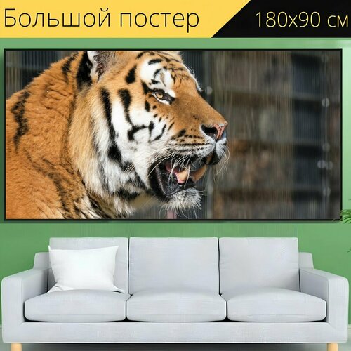 Большой постер "Тигр, хищник, большой кот" 180 x 90 см. для интерьера