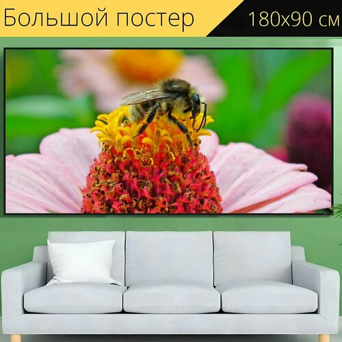 Большой постер "Пчела, цветок, цинния" 180 x 90 см. для интерьера