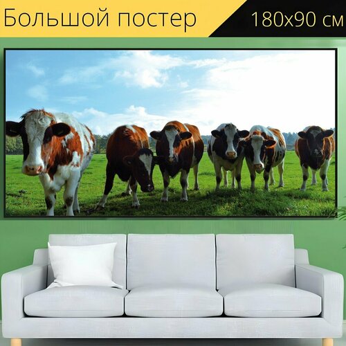 Большой постер "Коровы, пастбище, любопытный" 180 x 90 см. для интерьера