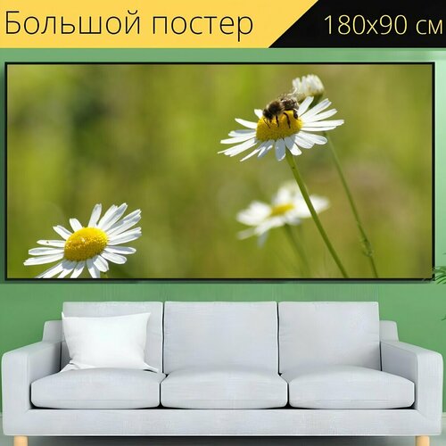 Большой постер "Маргаритка, пчела, цветок" 180 x 90 см. для интерьера