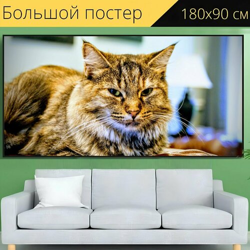 Большой постер "Кошка, диван, кошачий" 180 x 90 см. для интерьера