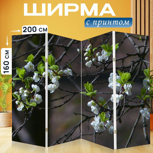 Ширма перегородка с принтом "Весна, цветение, цветы" на холсте - 200x160 см. для зонирования, раскладная