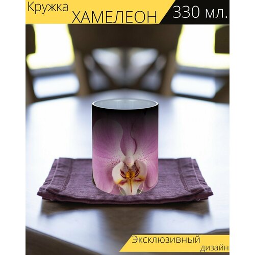 Кружка хамелеон с принтом "Орхидея, цветок, фиолетовый" 330 мл.