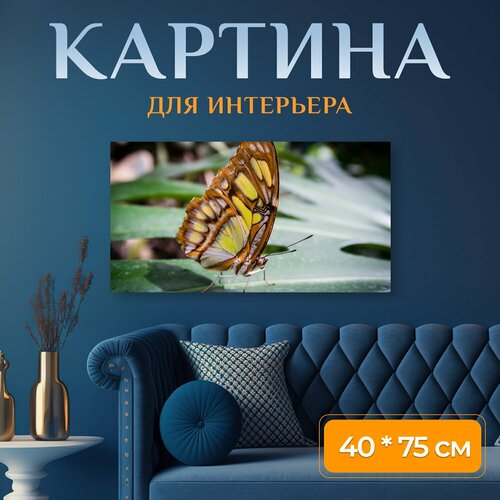 Картина на холсте "Бабочка, листья, сад" на подрамнике 75х40 см. для интерьера