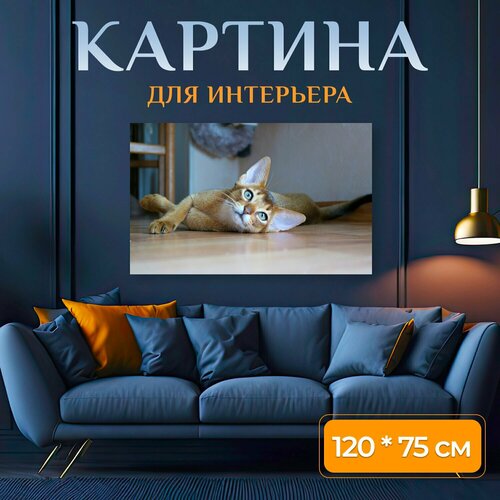 Картина на холсте "Абиссинские котята, абиссинская кошка, абиссинский котенок" на подрамнике 120х75 см. для интерьера