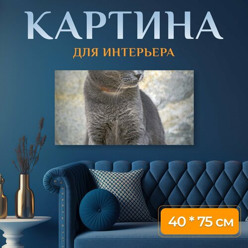 Картина на холсте "Кот, талисман, портрет" на подрамнике 75х40 см. для интерьера