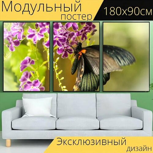 Модульный постер "Бабочка, цветы, природа" 180 x 90 см. для интерьера