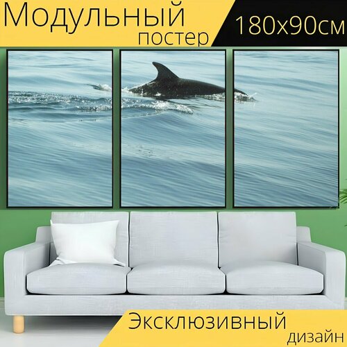 Модульный постер "Дельфины, морские существа, пинбол" 180 x 90 см. для интерьера