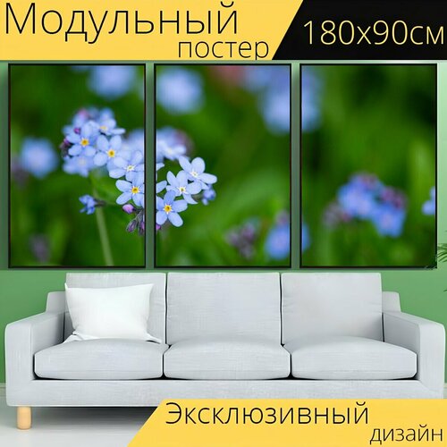 Модульный постер "Не забывай меня, скорпион трав, синий цветок" 180 x 90 см. для интерьера
