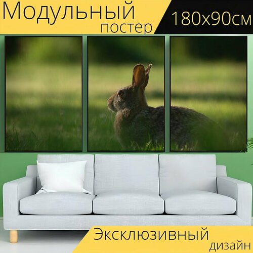 Модульный постер "Кролик, домашний питомец, животное" 180 x 90 см. для интерьера