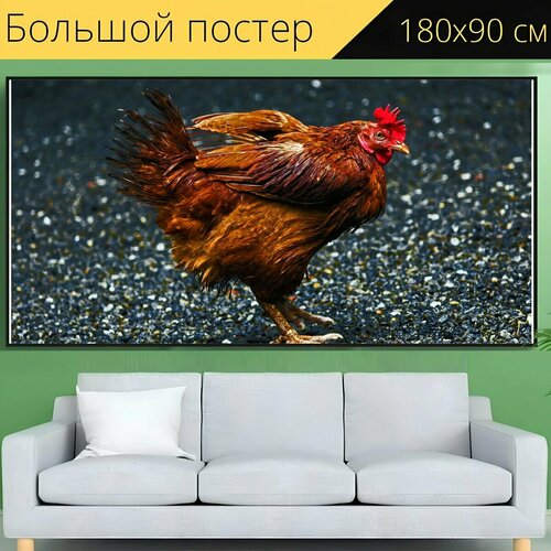 Большой постер "Птица, курица, домашняя птица" 180 x 90 см. для интерьера