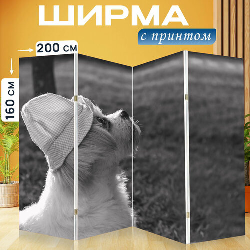 Ширма перегородка с принтом "Собака, домашний питомец, животное" на холсте - 200x160 см. для зонирования, раскладная